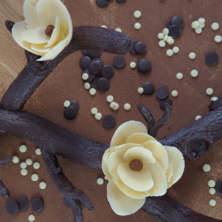 Applications - SCHOKINAG - A World of Chocolate